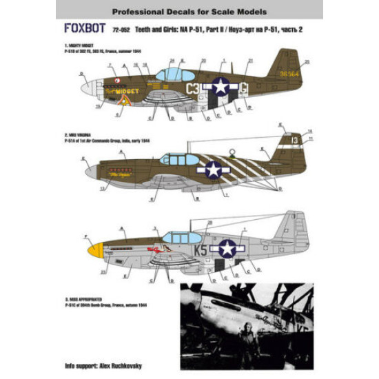 Foxbot 72-052 - 1/72 Decals U.S.A.F. North American P-51 Mustang Nose Art and Stencils (Part 2 ...
